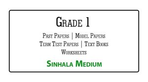 Grade 1 Past Papers and Model Papers Sinhala Medium