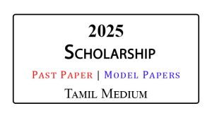 2025 Grade 5 Scholarship Model Papers Tamil Medium